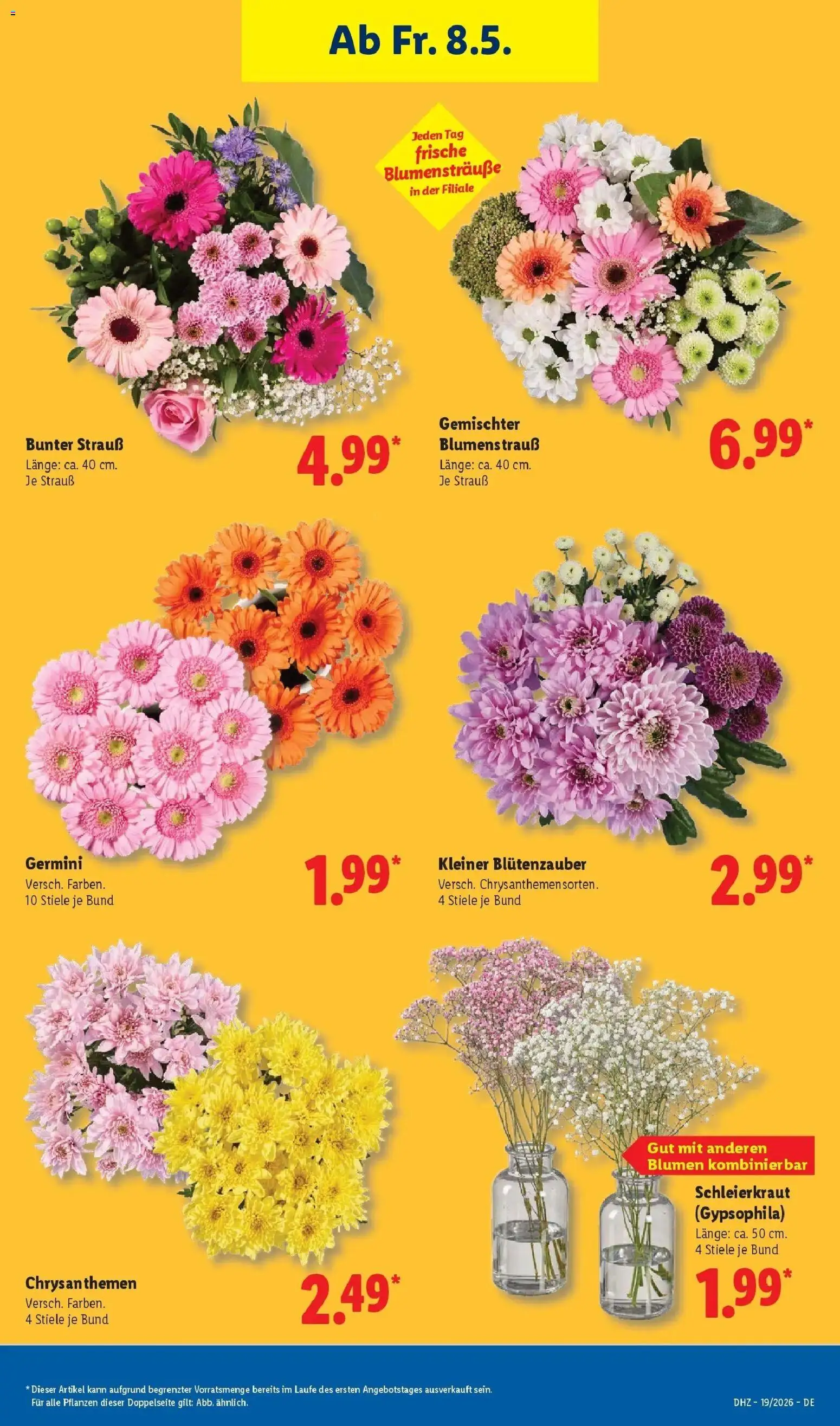 Lidl Blumen Angebote